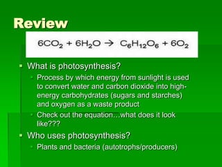 Photosynthesis part 1 | PPT