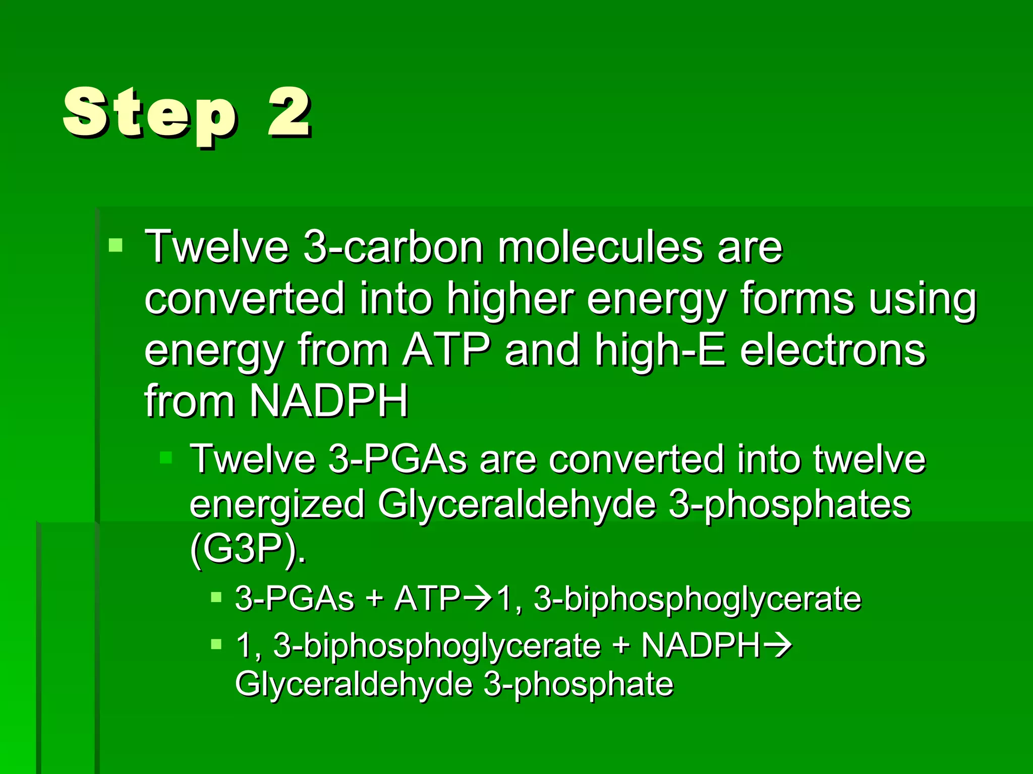Photosynthesis part 2 | PPT