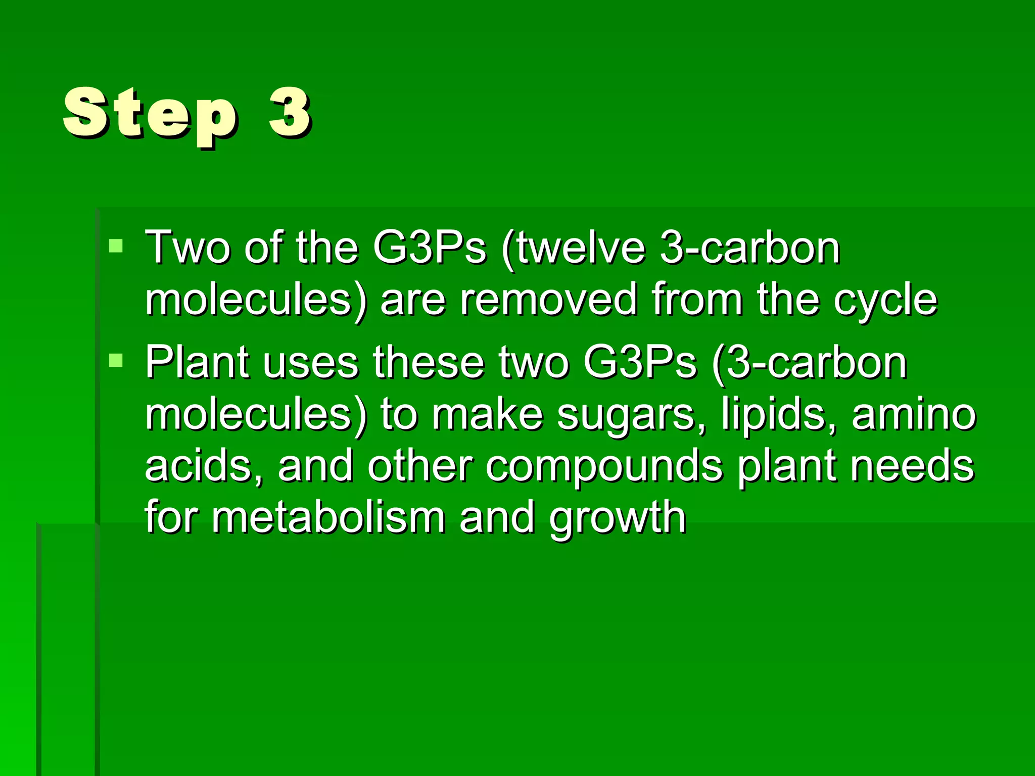 Photosynthesis part 2 | PPT