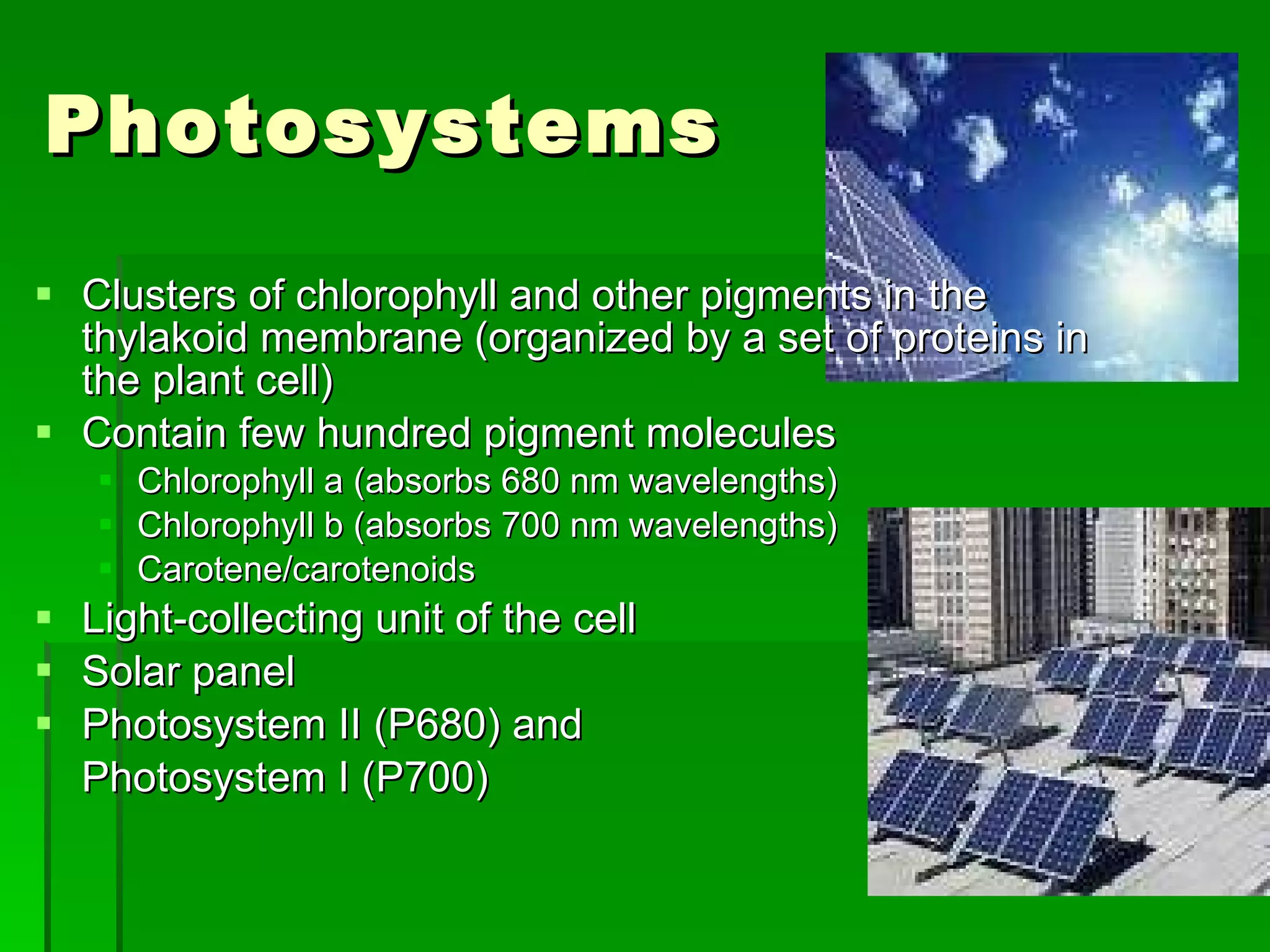 Photosynthesis part 2 | PPT
