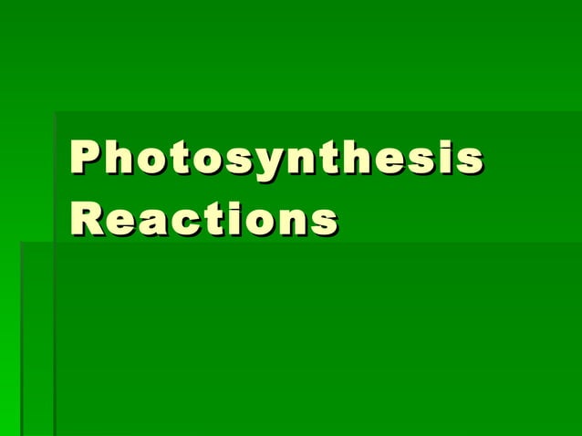 Photosynthesis part 2 | PPT