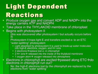 Photosynthesis part 2 | PPT