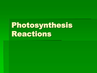 Photosynthesis part 2 | PPT