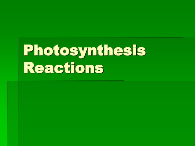 Photosynthesis part 2 | PPT