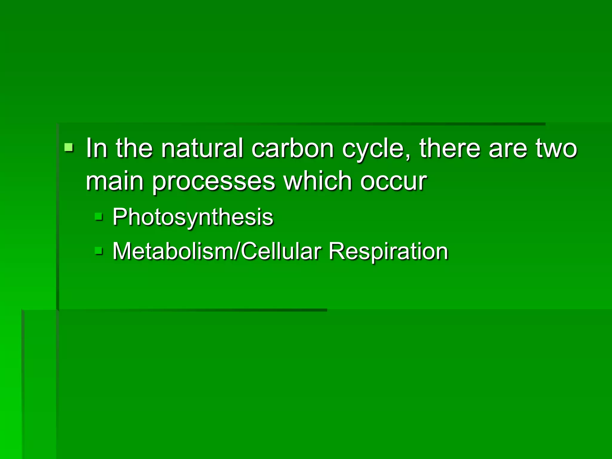 Photosynthesis part 3 | PPTX
