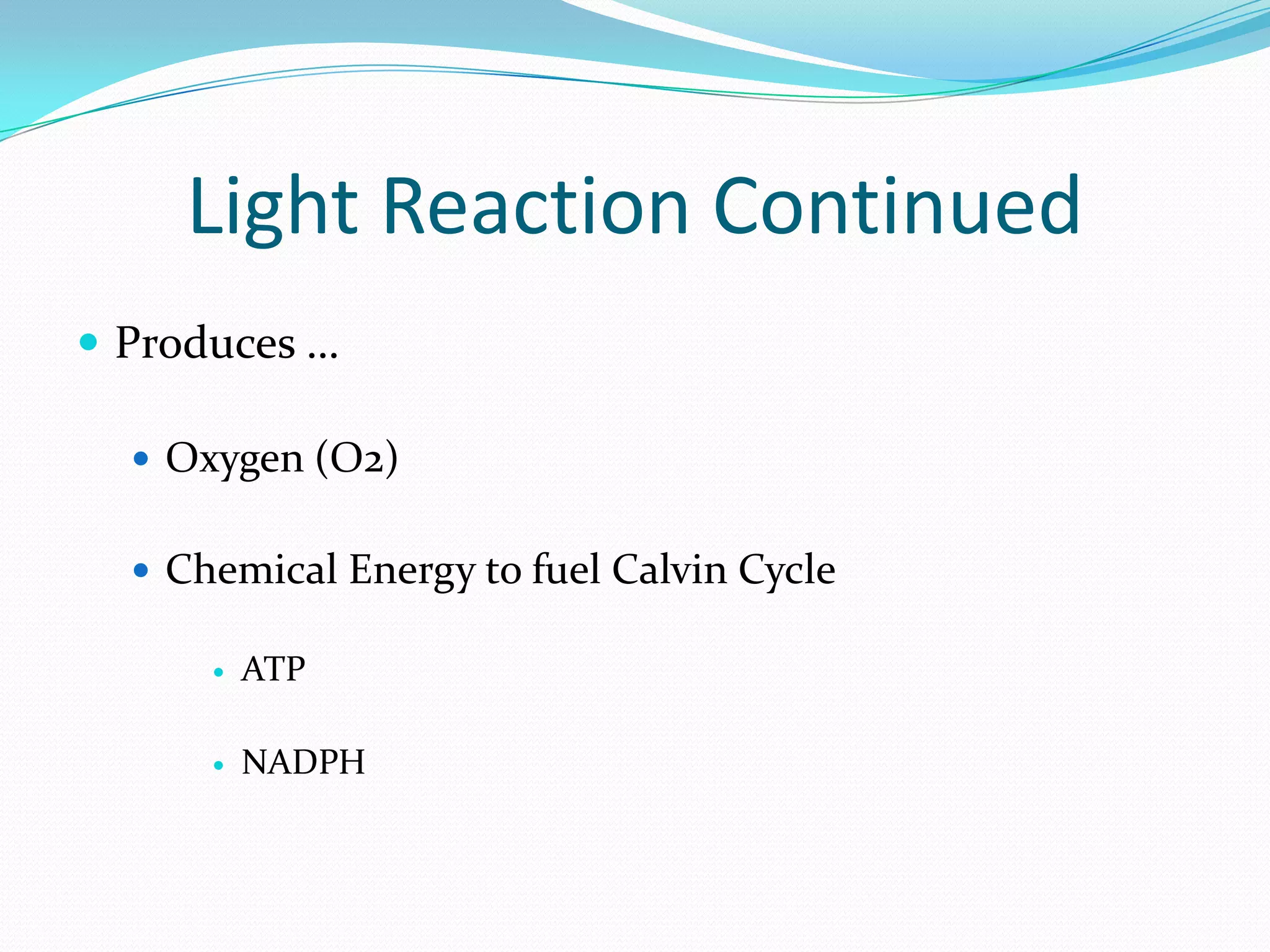 Photosynthesis Powerpoint | PPTX | Chemistry | Science
