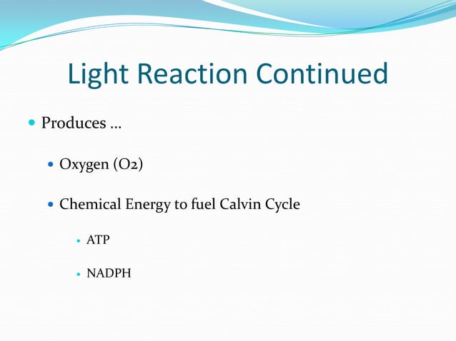 Photosynthesis Powerpoint | PPTX | Chemistry | Science