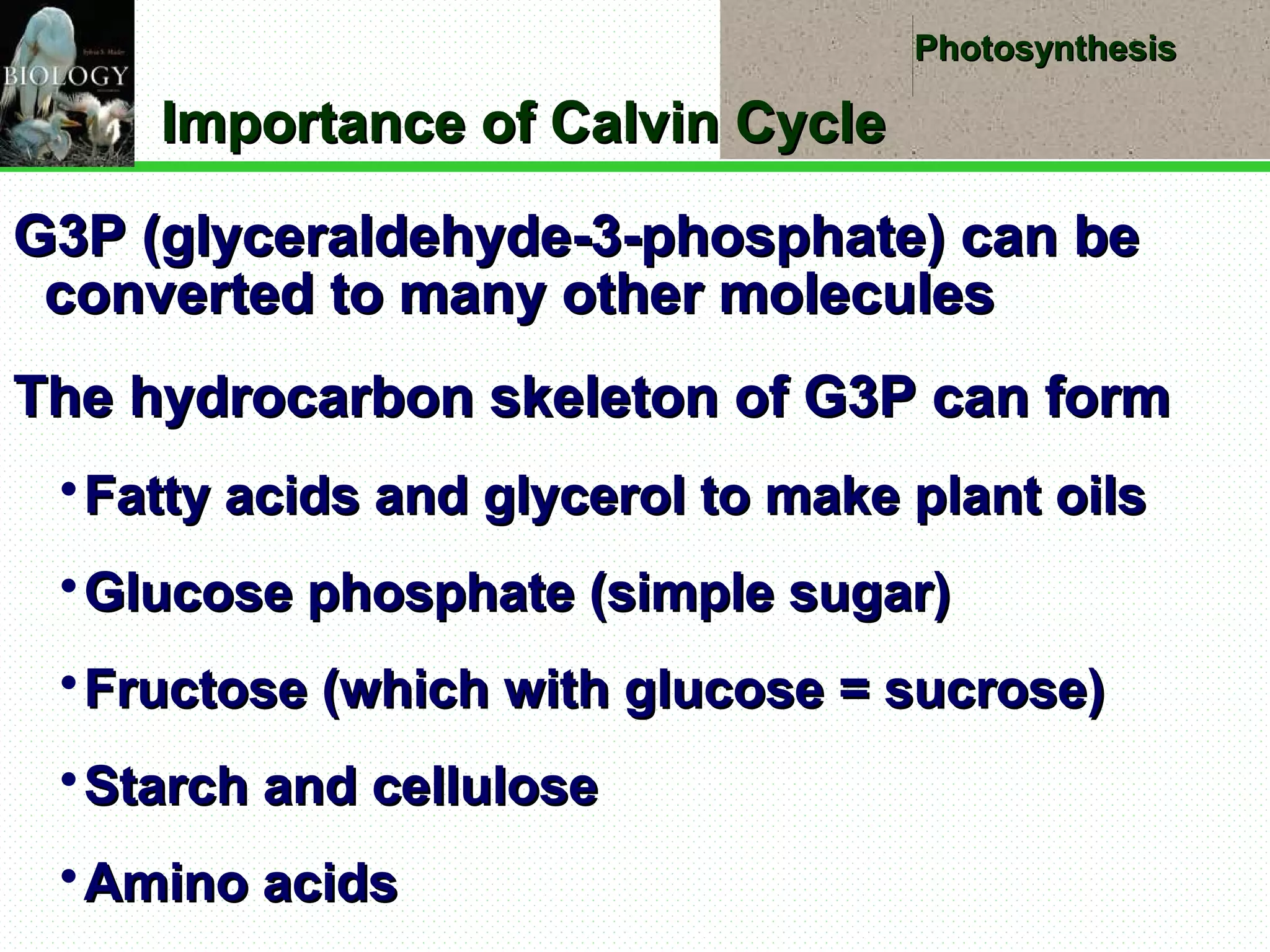 Photosynthesis powerpoint | PPT