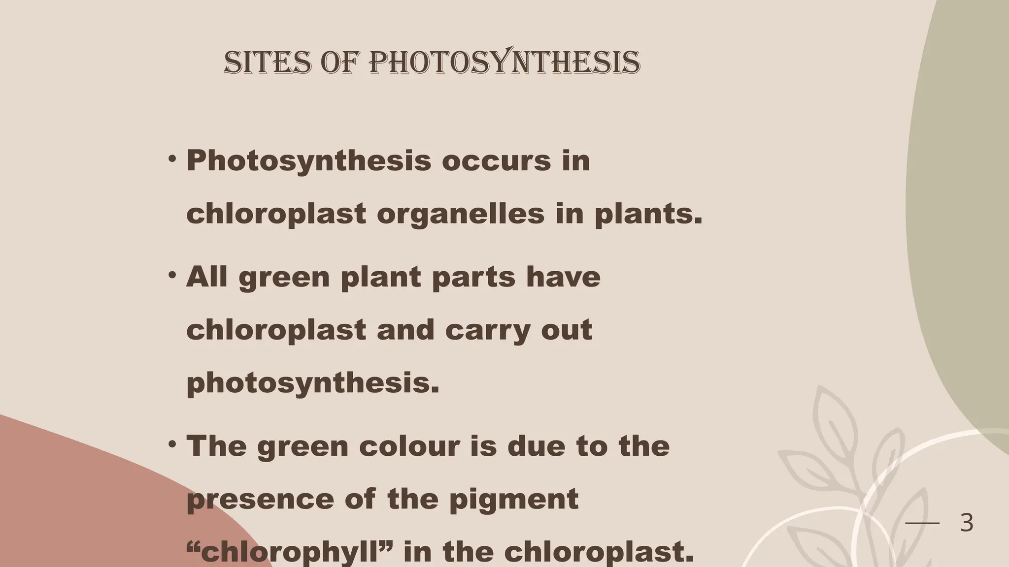 PHOTOSYNTHESIS POWERPOINT presentation .pptx