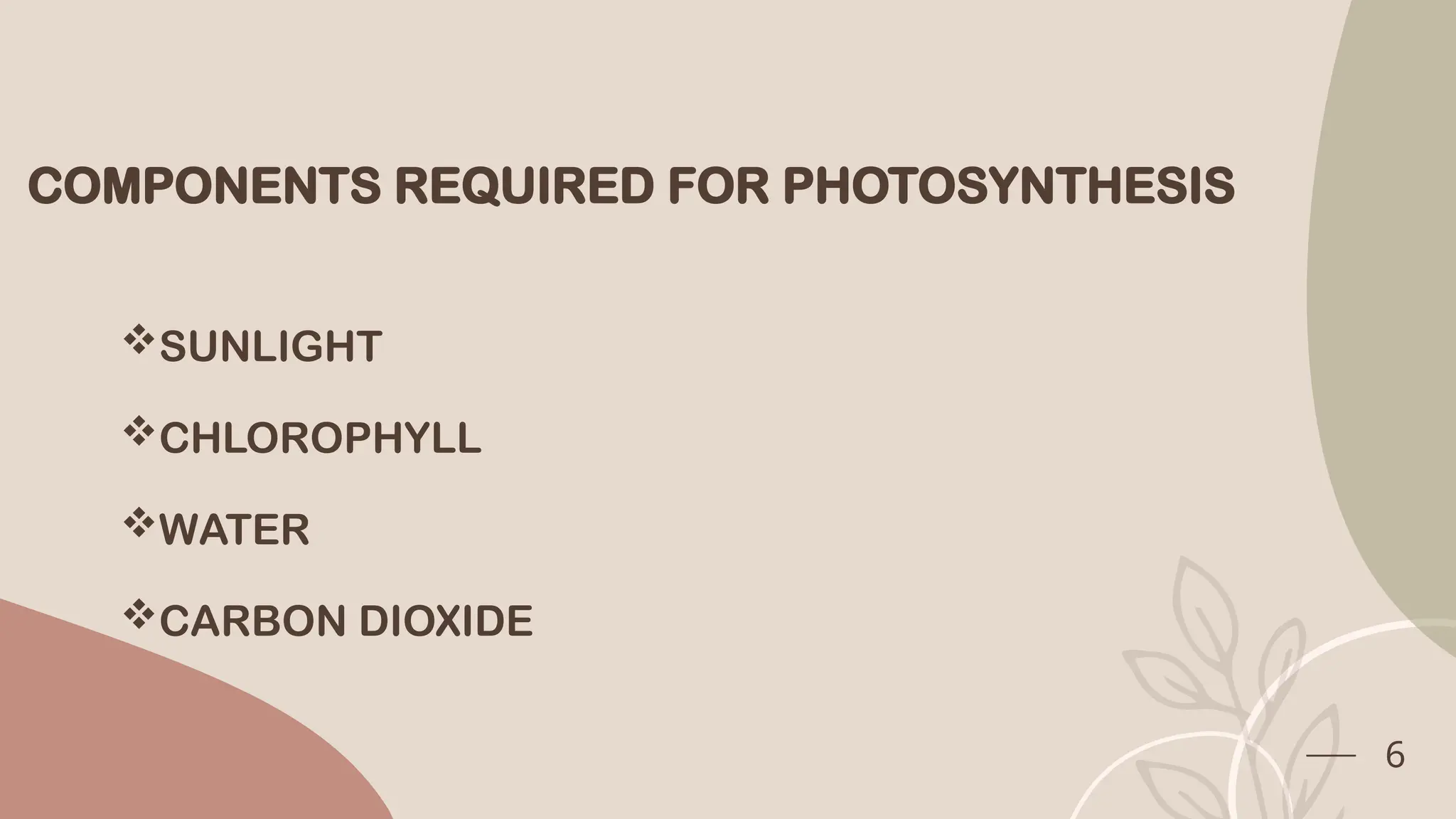 PHOTOSYNTHESIS POWERPOINT presentation .pptx