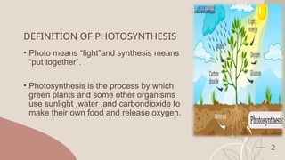 PHOTOSYNTHESIS POWERPOINT presentation .pptx