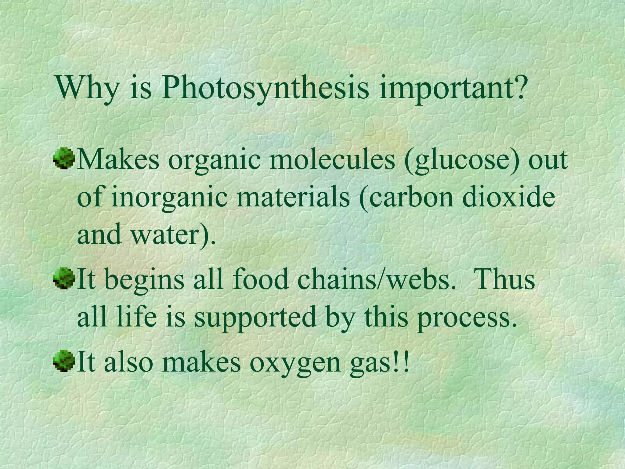 Photosynthesis PP.ppt