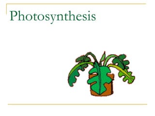 Photosynthesis Ppt | PPT