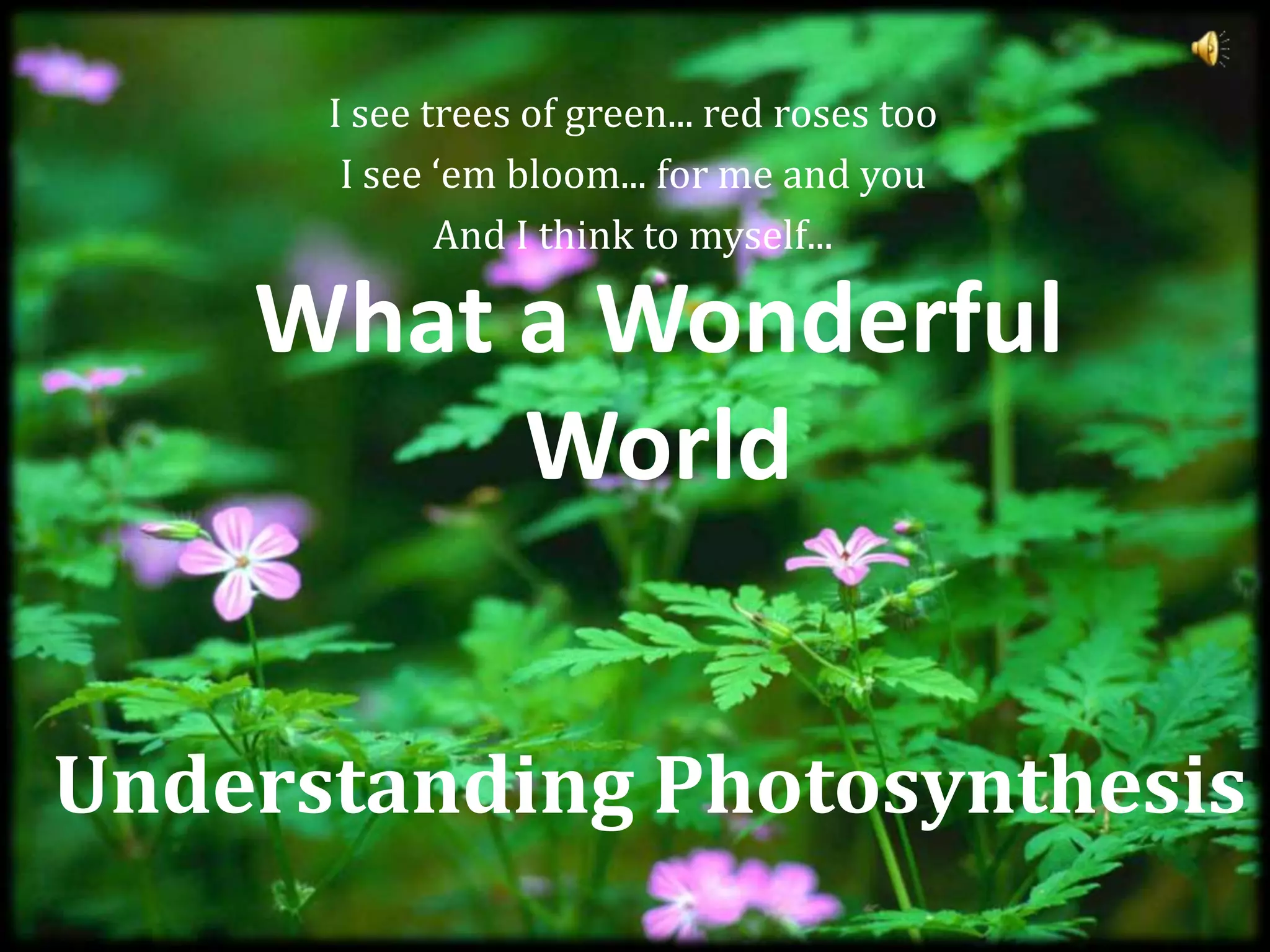 Photosynthesis ppt | PPTX | Chemistry | Science