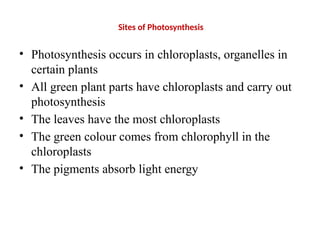 photosynthesisppt-150123102952-conversion-gate01.pptx