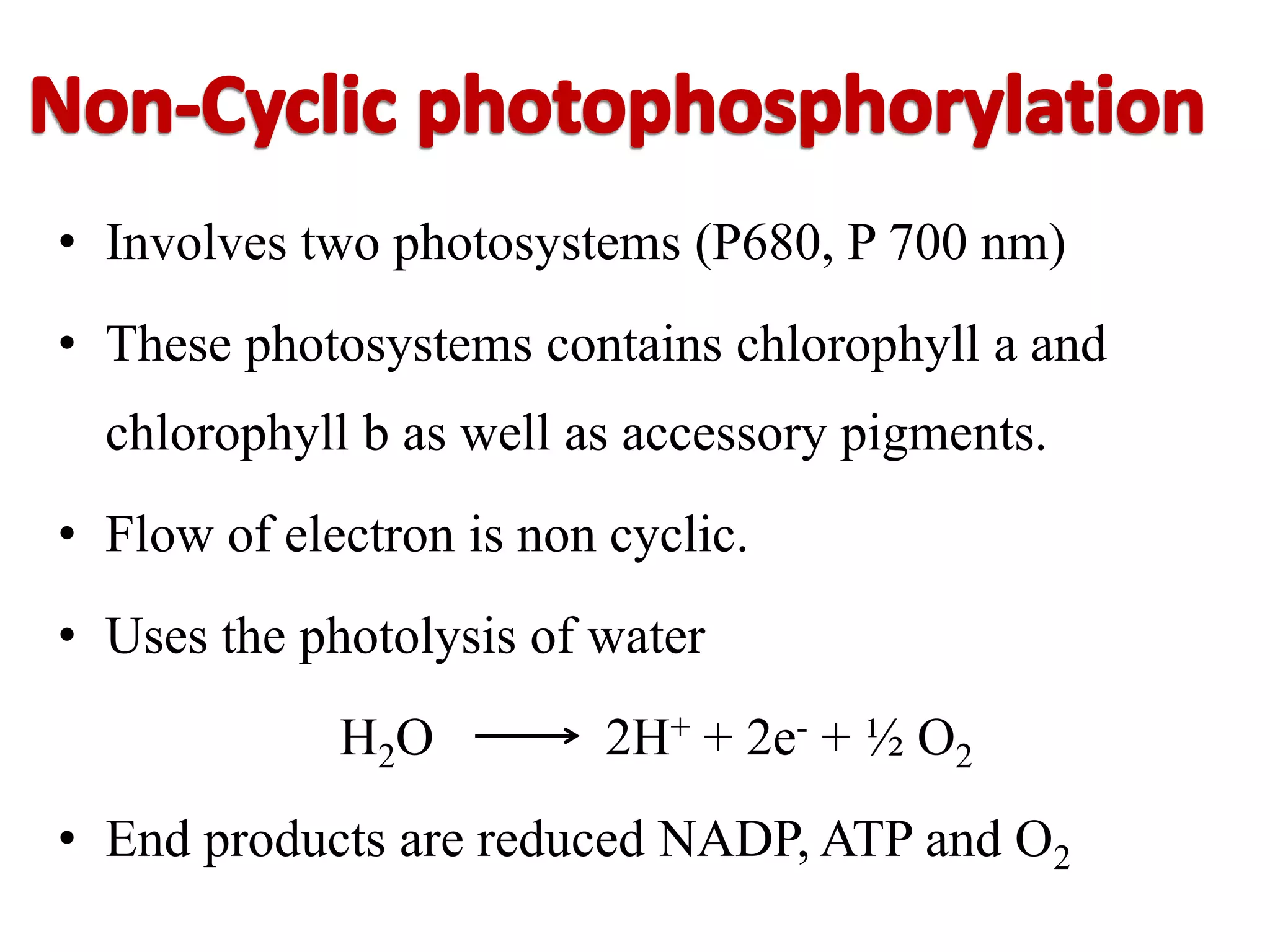 Photosynthesis | PPTX