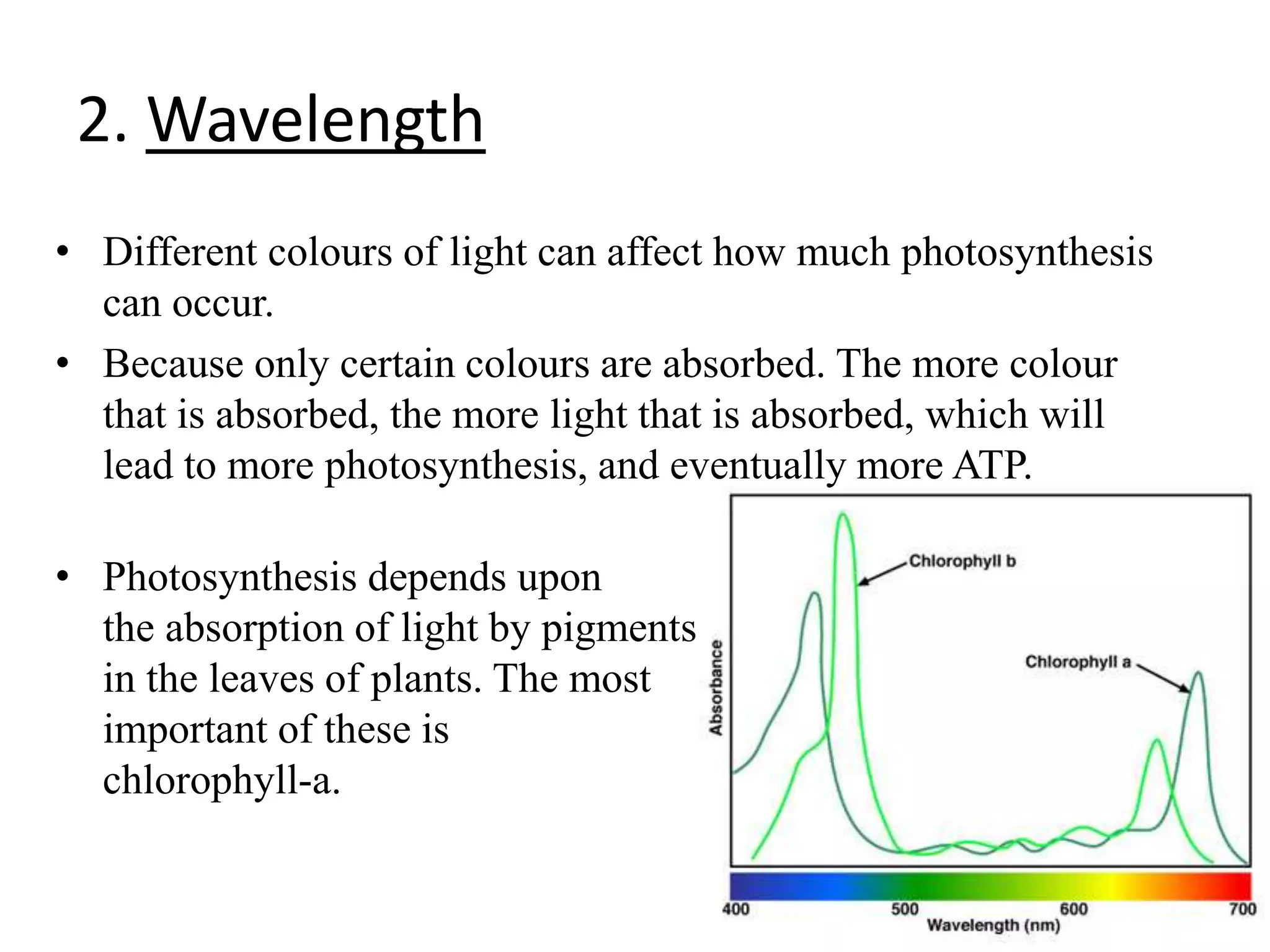 Photosynthesis | PPTX