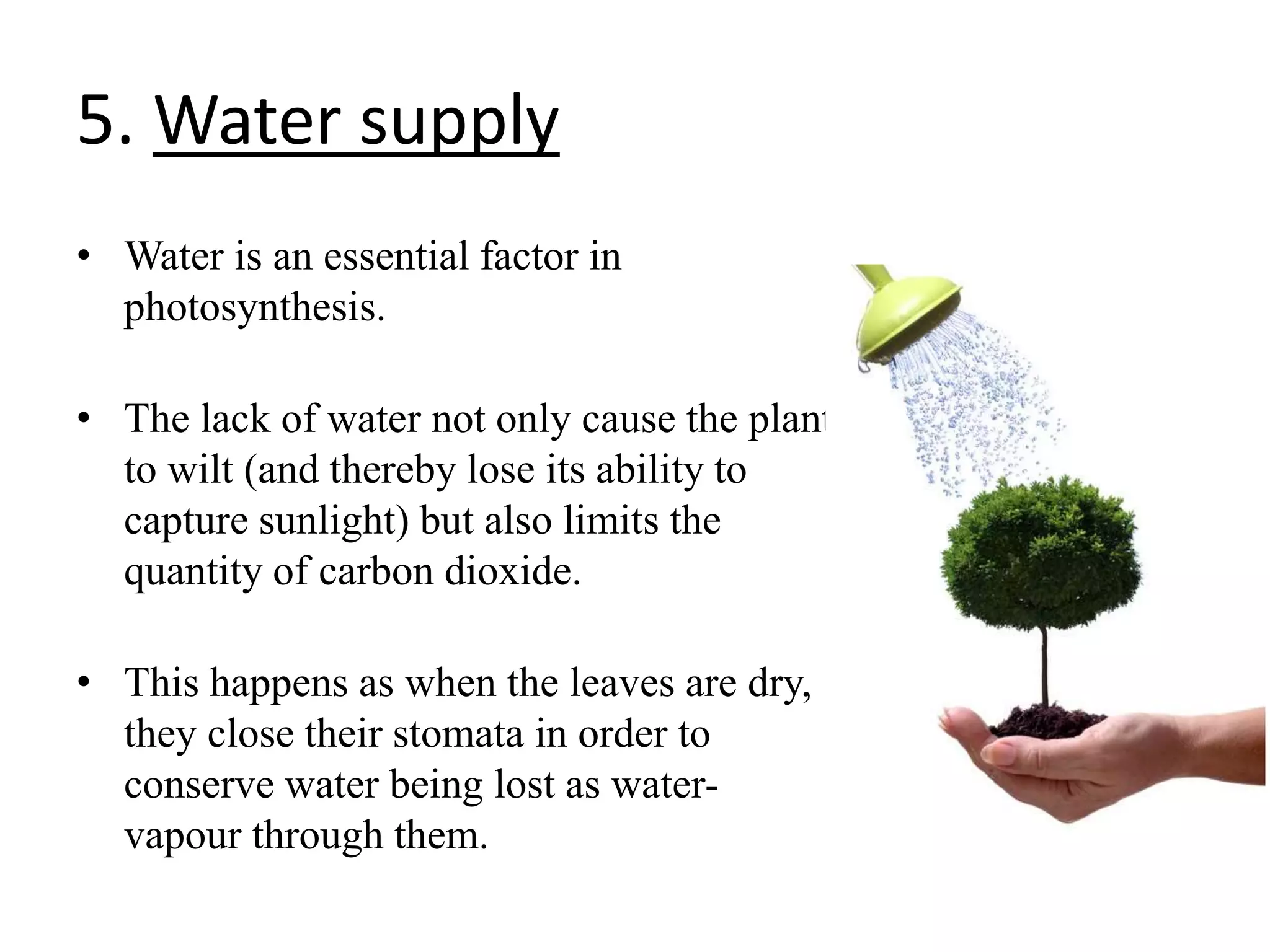 Photosynthesis | PPTX