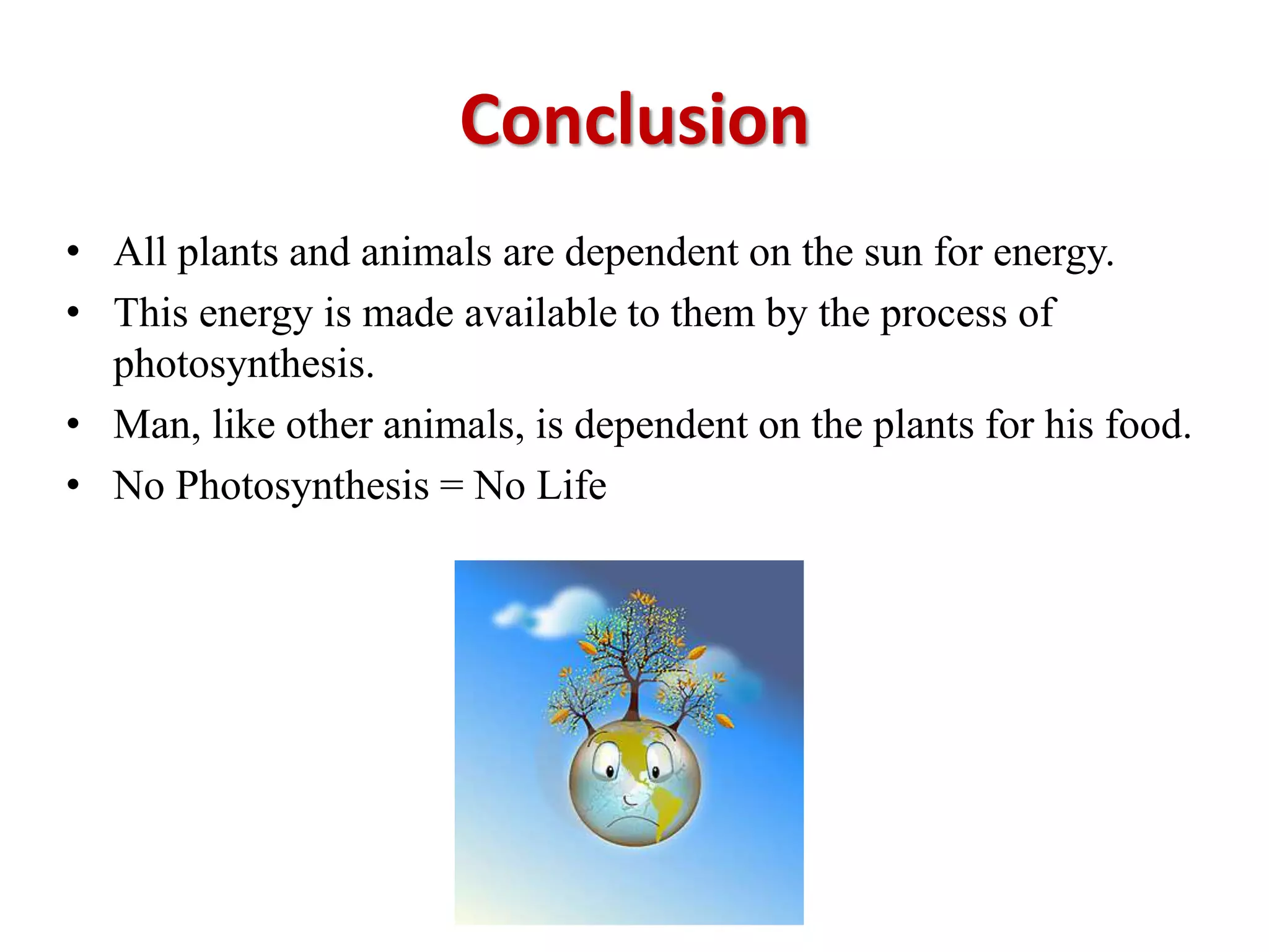 Photosynthesis | PPTX