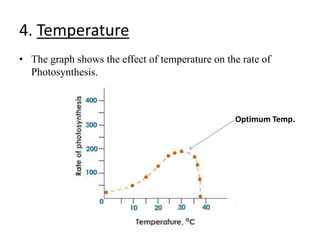 Photosynthesis | PPTX