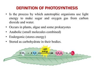 Photosynthesis Definition