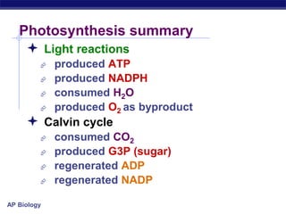 Photosynthesis ppt | PPT
