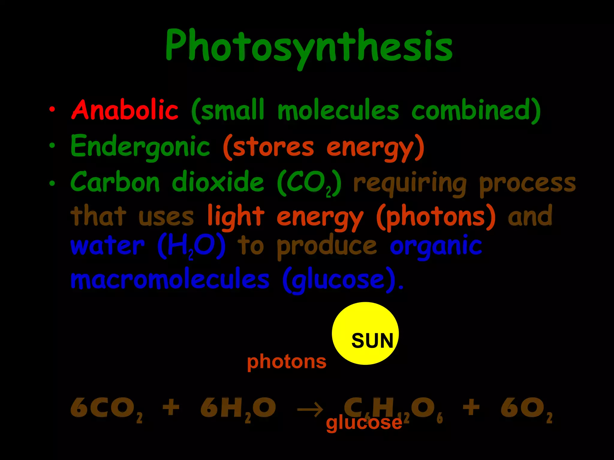 Photosynthesis ppt by Lalit Kumar | PPT