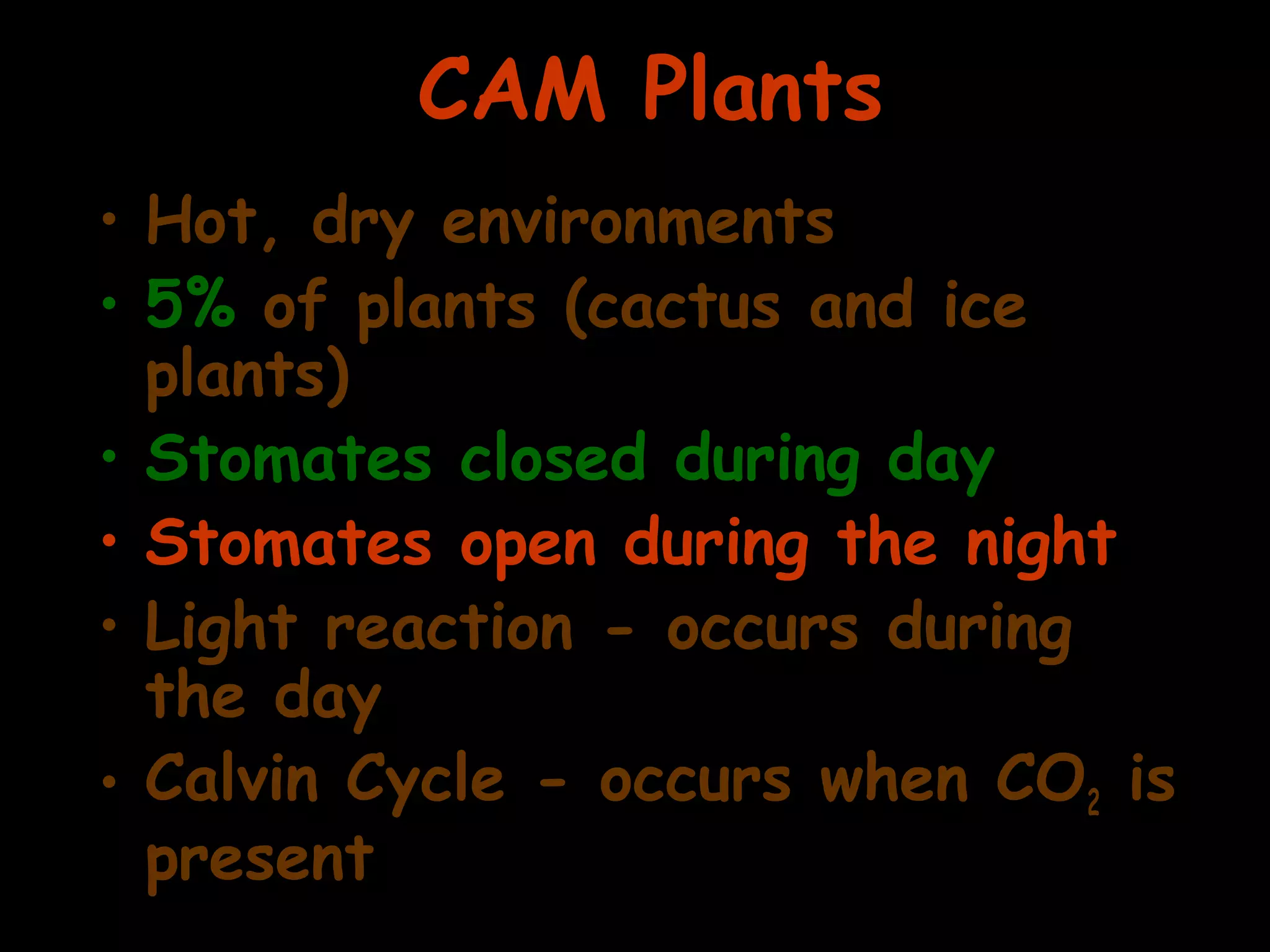 Photosynthesis ppt by Lalit Kumar | PPT