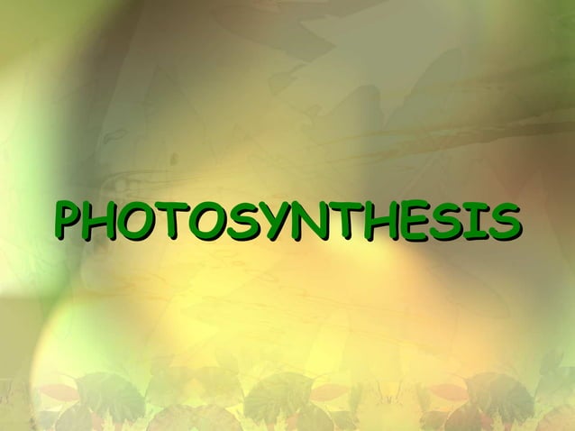 Photosynthesis ppt by Lalit Kumar | PPT