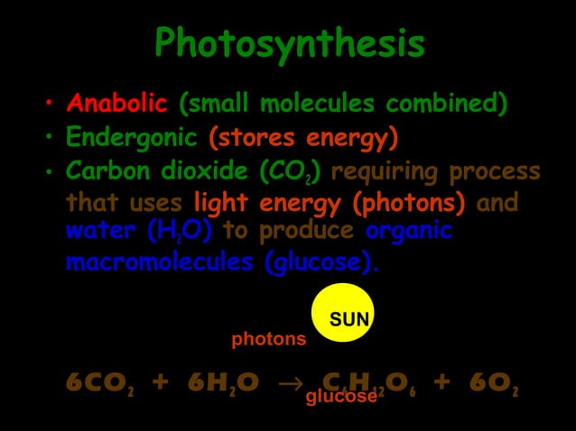 Photosynthesis ppt by Lalit Kumar | PPT