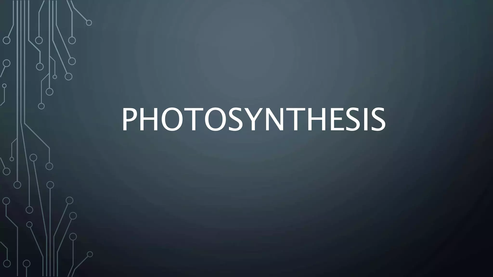 Photosynthesis ppt | PPT