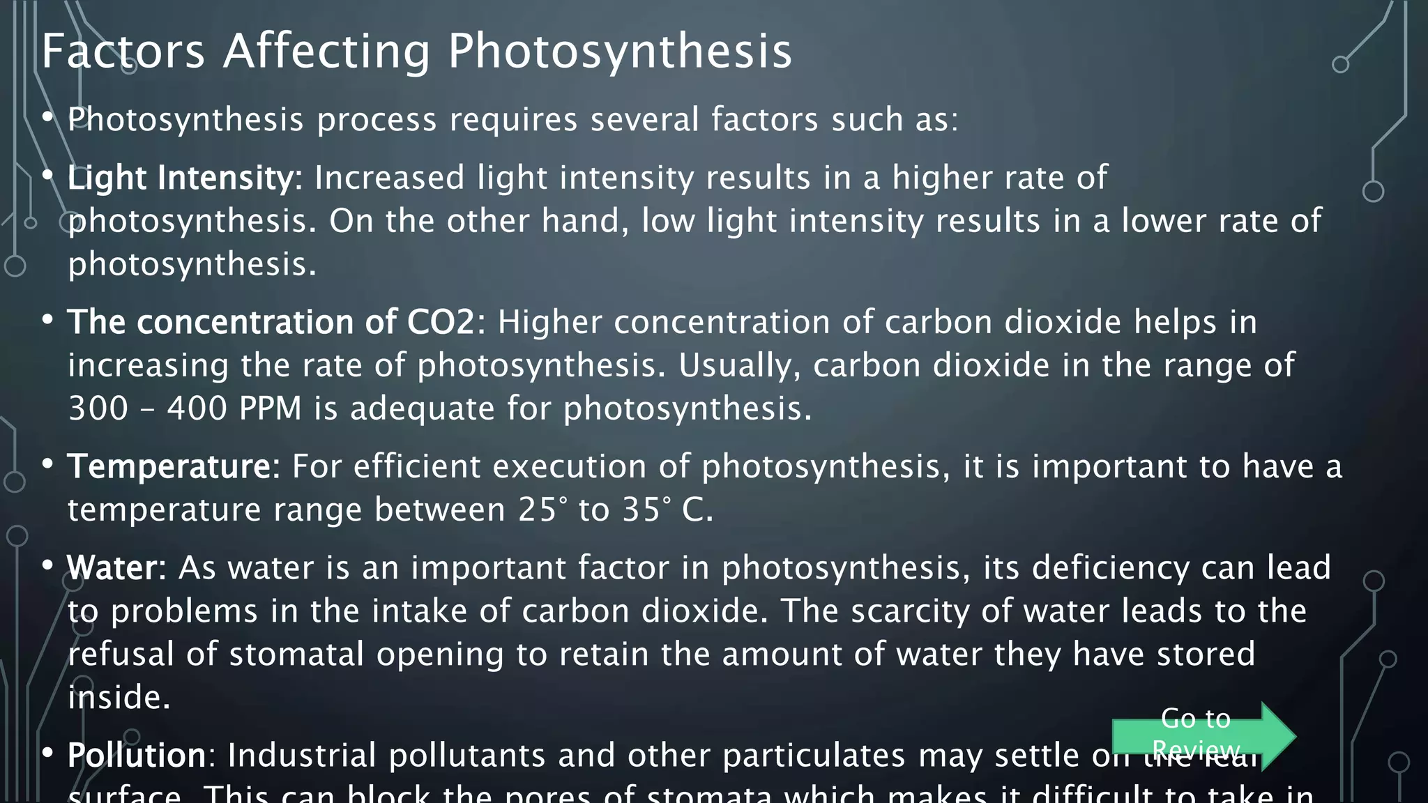 Photosynthesis ppt | PPTX | Biological Sciences | Science
