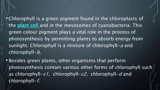 Photosynthesis ppt | PPTX