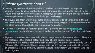 Photosynthesis ppt | PPTX