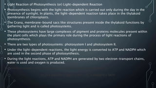Photosynthesis ppt | PPTX