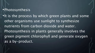 Photosynthesis ppt | PPTX | Biological Sciences | Science