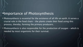 Photosynthesis ppt | PPTX