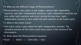Photosynthesis ppt | PPTX
