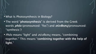 Photosynthesis ppt | PPTX | Biological Sciences | Science
