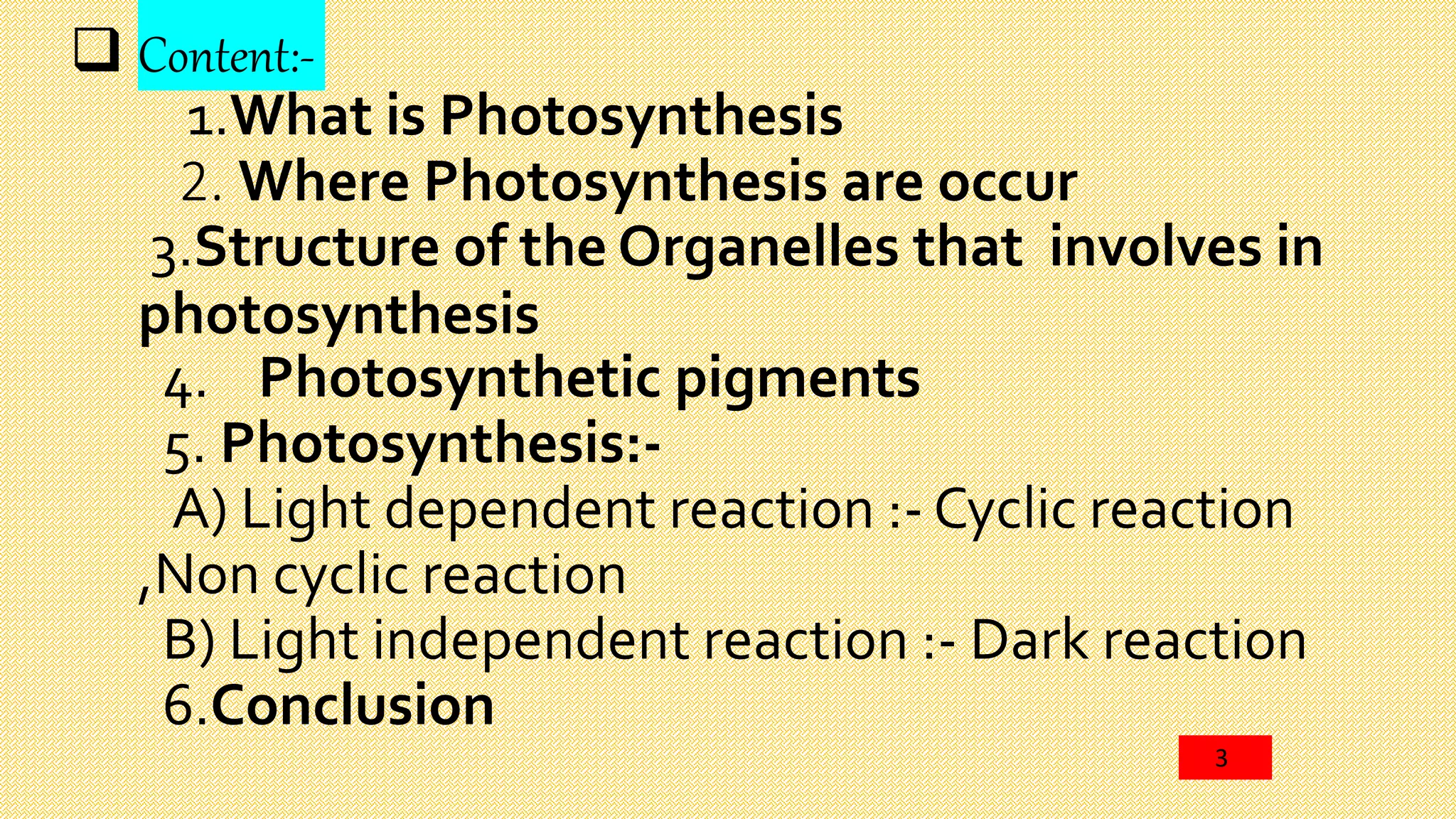 PHOTOSYNTHESIS ppt.pptx