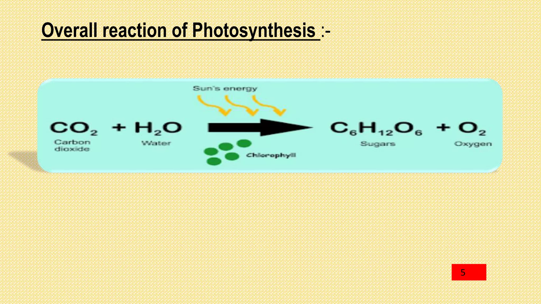 PHOTOSYNTHESIS ppt.pptx