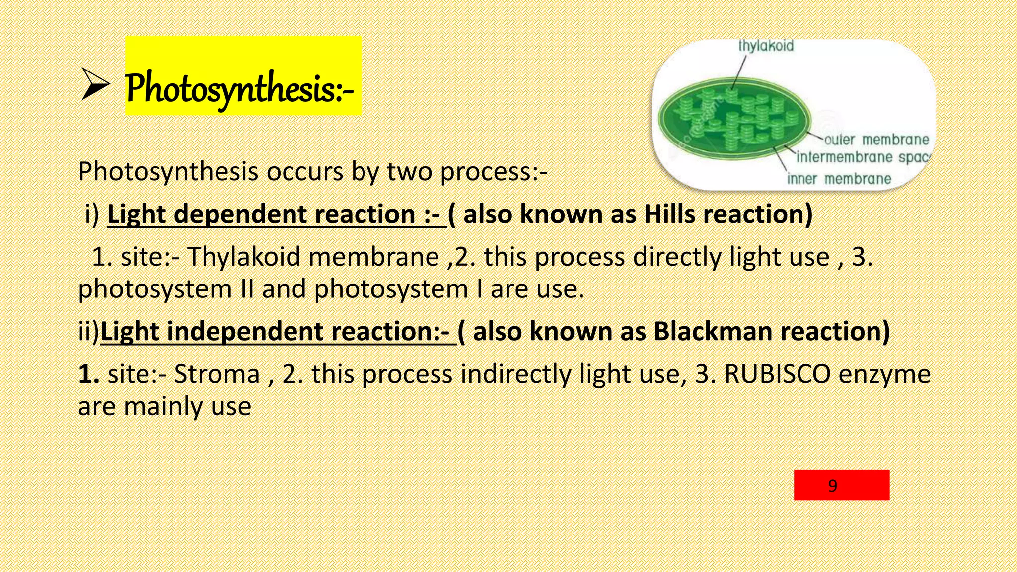 PHOTOSYNTHESIS ppt.pptx