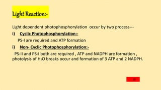 PHOTOSYNTHESIS ppt.pptx