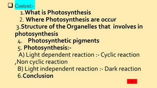 PHOTOSYNTHESIS ppt.pptx