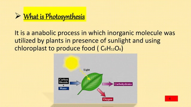 PHOTOSYNTHESIS ppt.pptx