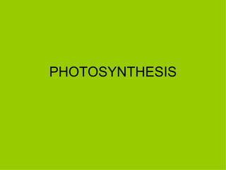 photosynthesis ppt.pdf