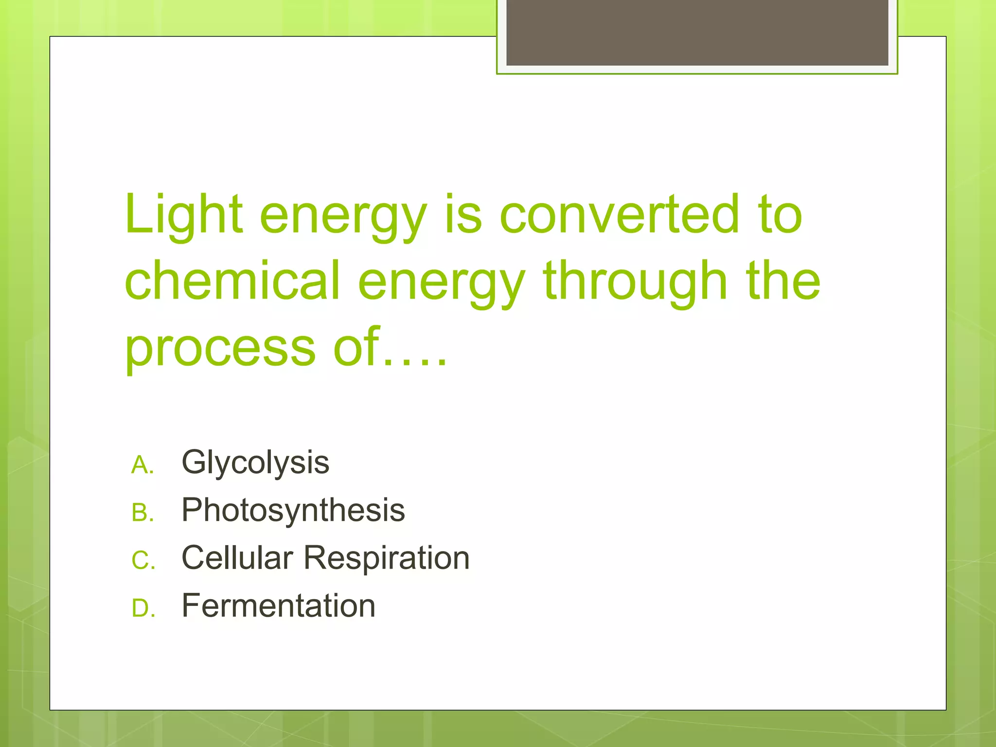 Photosynthesis Notes PPT | PPTX