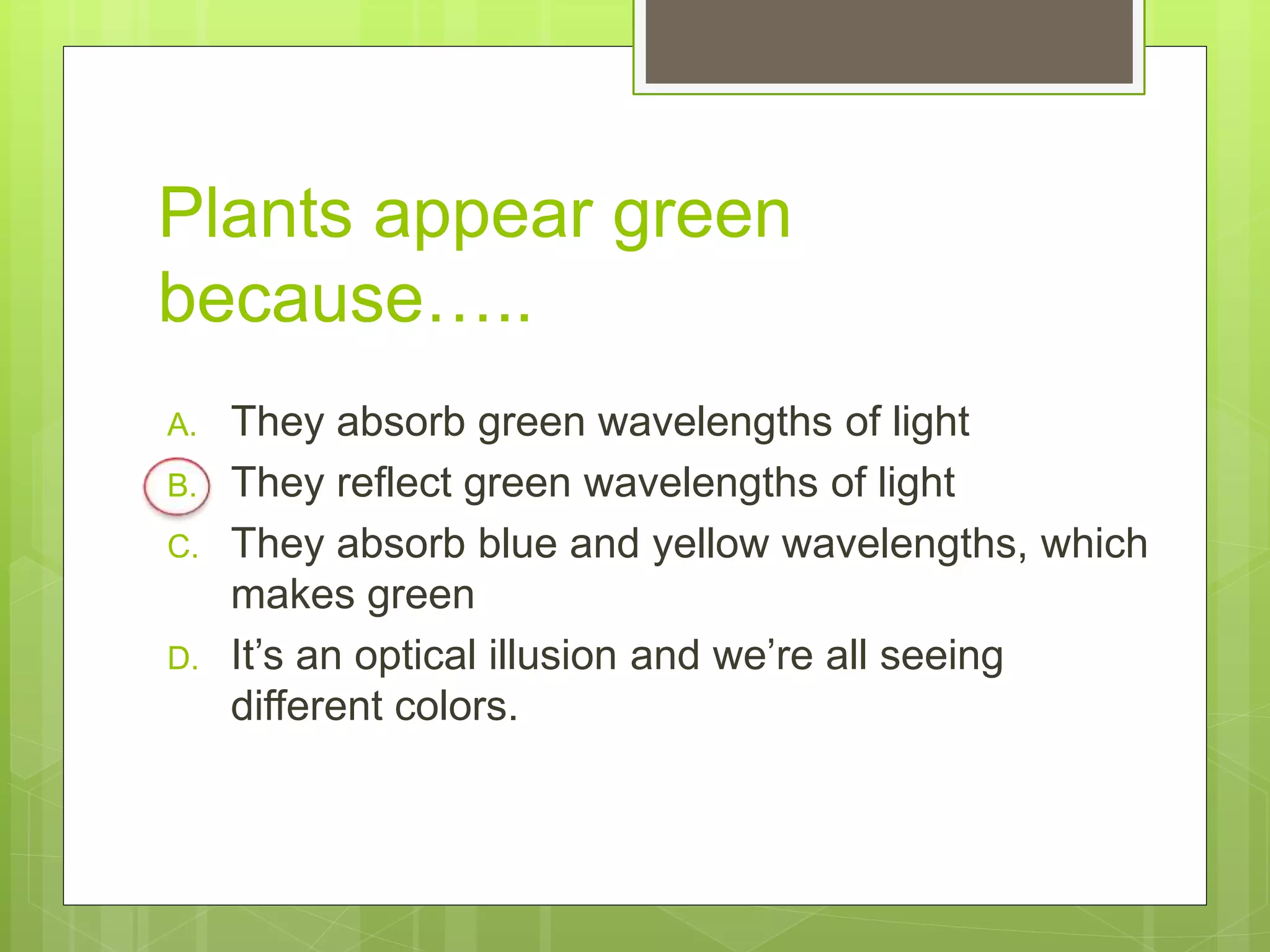Photosynthesis Notes PPT | PPTX