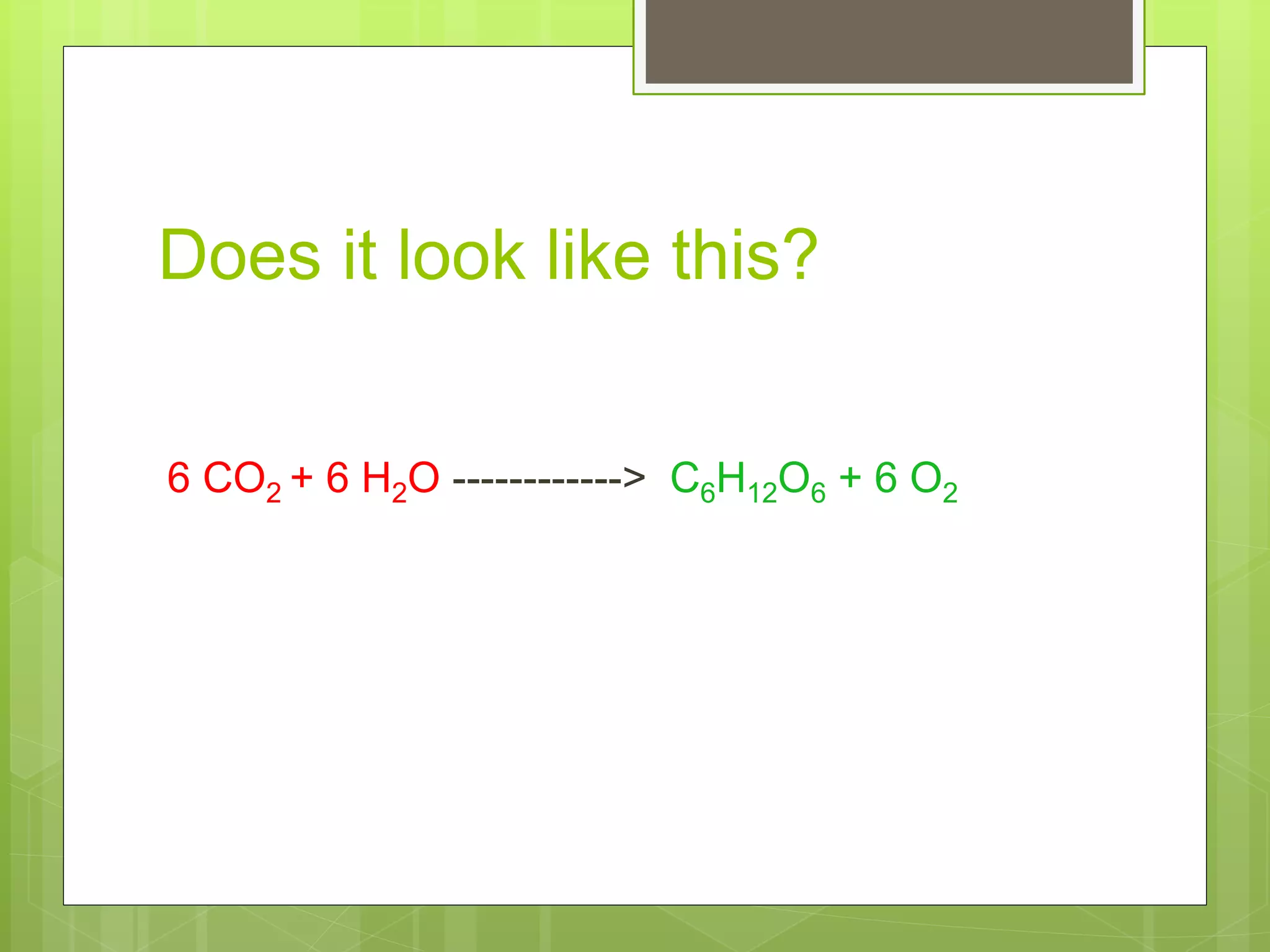 Photosynthesis Notes PPT | PPTX