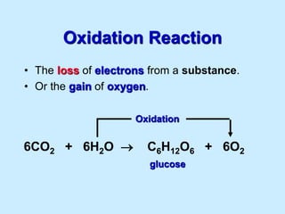 Proses Photosynthesis tumbuhan berklorofil, | PPT